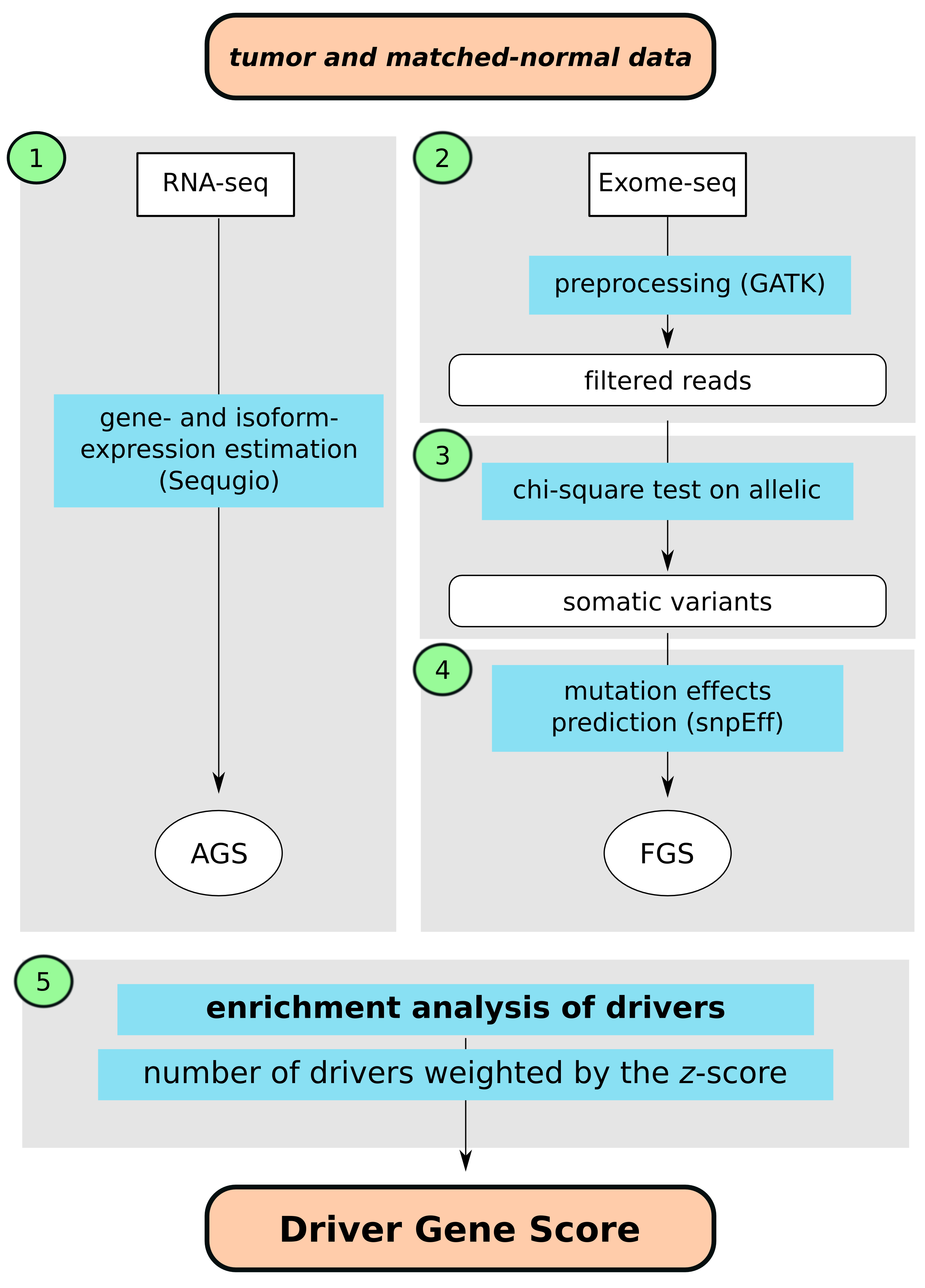 Driver Genes | Biostat Wiki